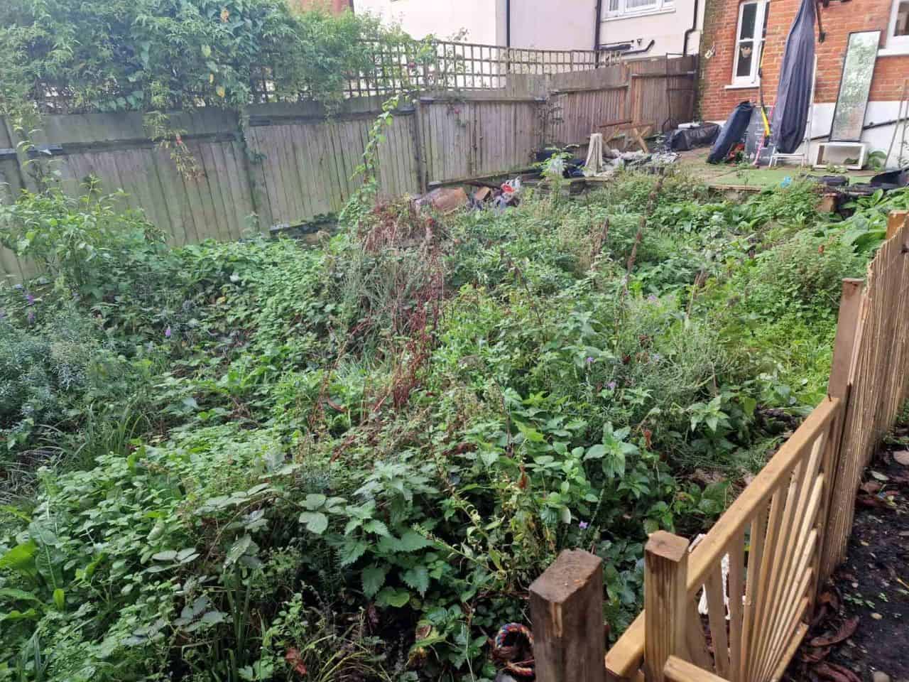 Overgrown Garden Clean-Ups Gallery - City Gardeners North London ...