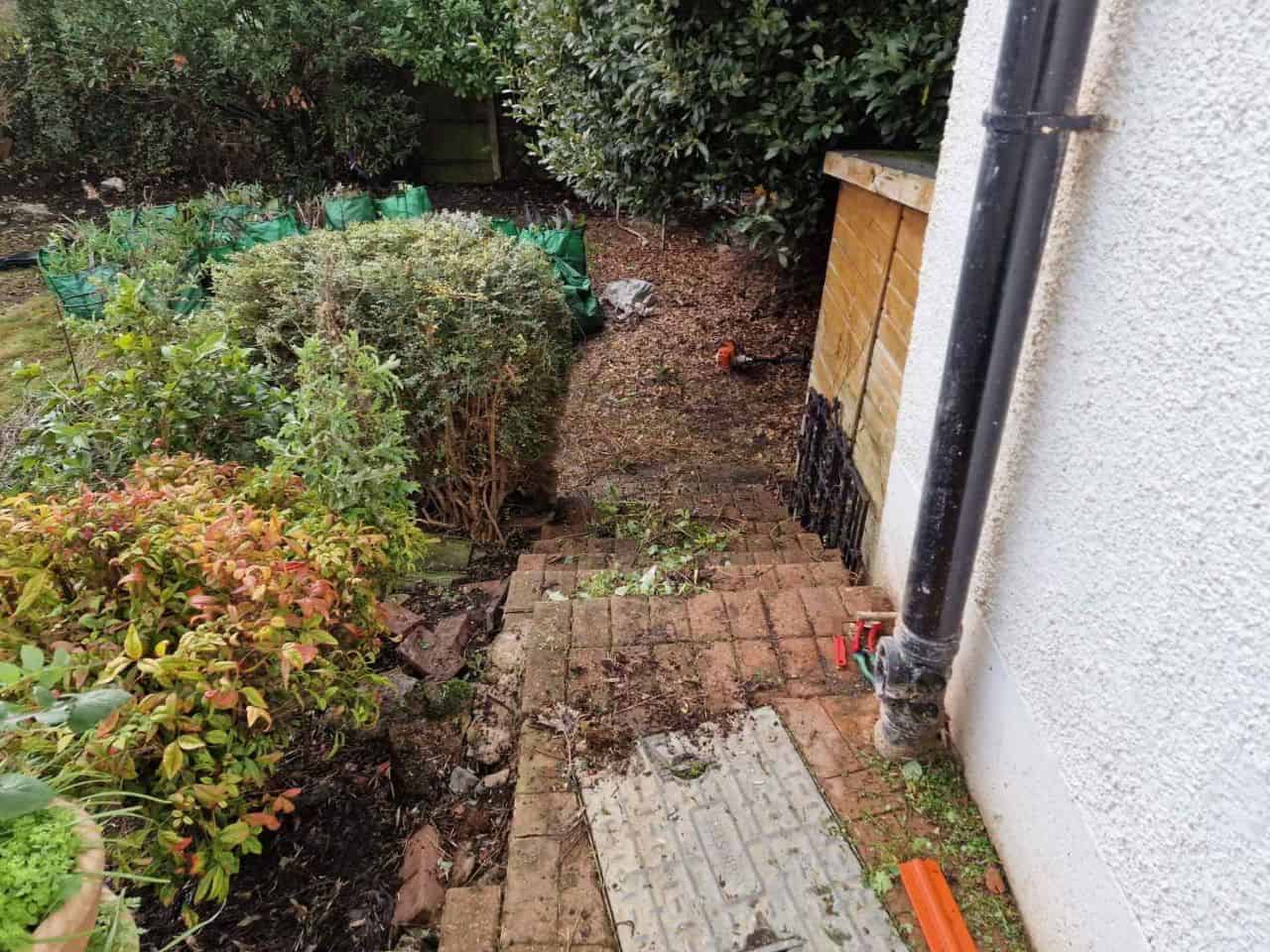 Overgrown Garden Clean-Ups Gallery - City Gardeners North London ...