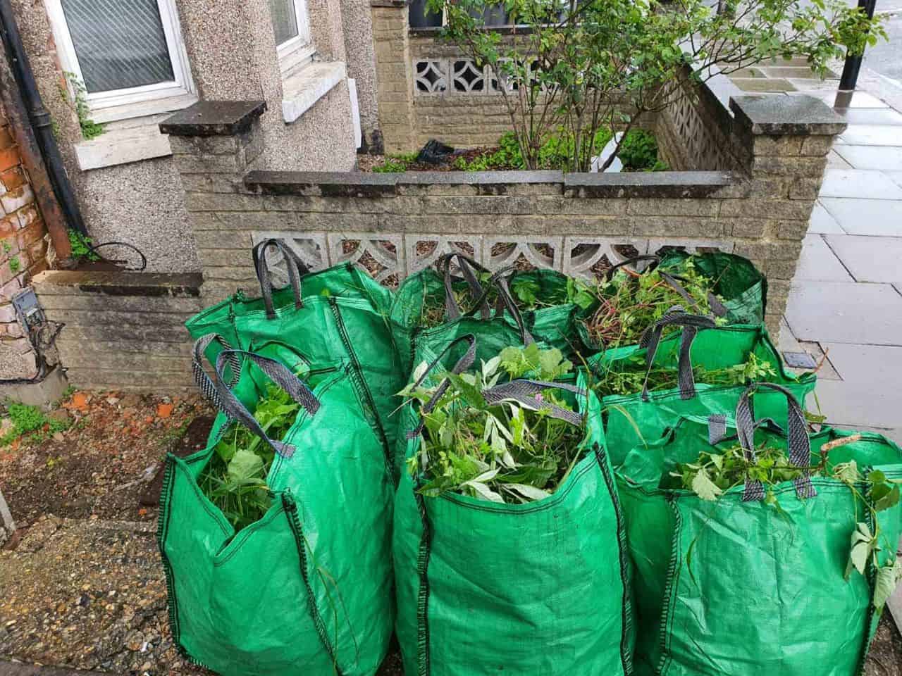 Overgrown Garden Clean-Ups Gallery - City Gardeners North London ...