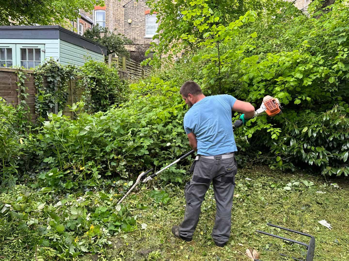 Gardeners East London | East London Garden Services Near You